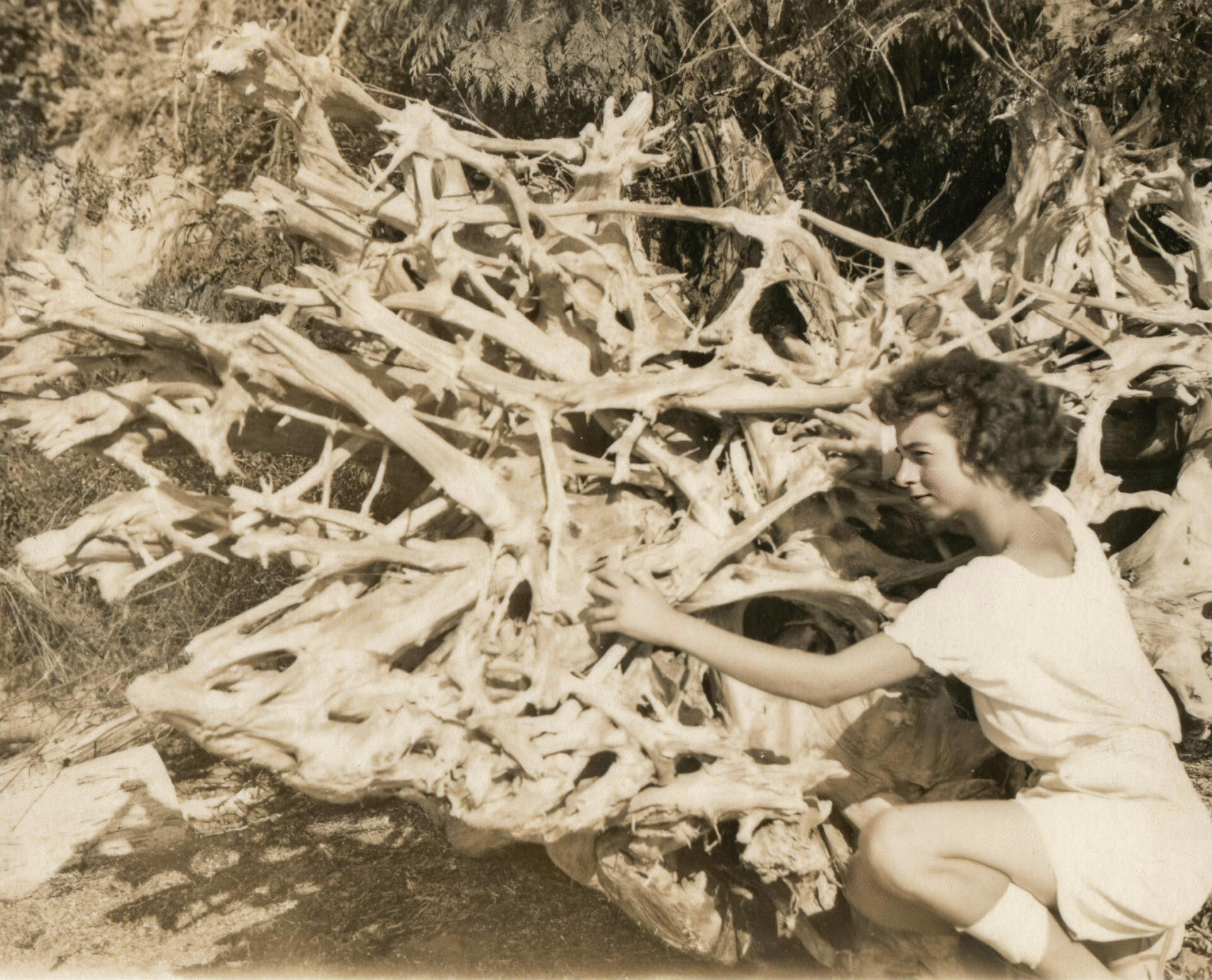 Ariel Parkinson - Farhat Art Museum